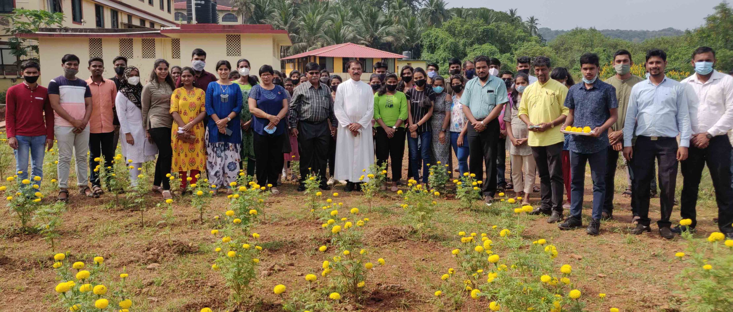 Marigold Harvesting – St. Joseph Vaz College